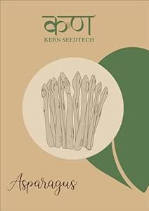 Kern SeedTech Premium Asparagus Seeds | Vegetable शतावरी Seeds for Home Gardening | Organic ...