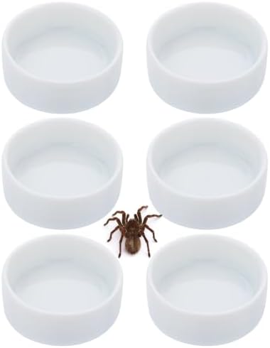 Amazon.com : 6 Pack Tarantula Ceramic Feeding Bowl Hermit Crab Water ...