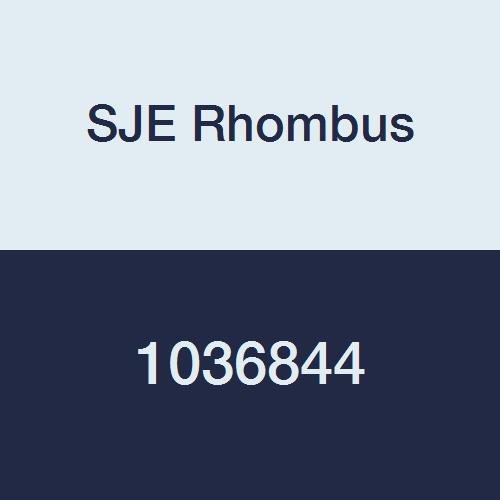 SJE Rhombus 1036844 SJE Level Monitor Cl with C-Level Cl100 Sensor, 10 ...