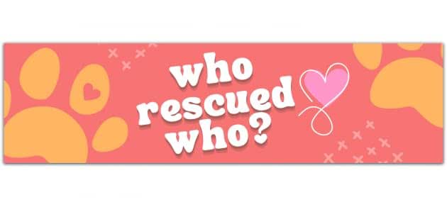 Amazon.com: Pink Scribble Dog Paw Shaped - Who Rescued Who? - Cars ...