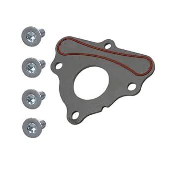 DSkoiph Camshaft Retainer Plate Gasket Bolt Kit Compatible with GM LS1 ...