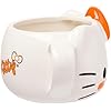 Amazon.com | Silver Buffalo Sanrio Hello Kitty Halloween Orange and ...