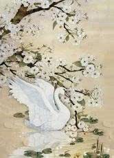 Amazon.com: Sarah Warren Art Swan And Blossom The Crystal Collection ...