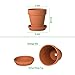 Amazon.com: D'vine Dev Pack of 6 Terracotta Pots with Saucers, 5 Inches ...