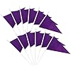 Amazon.com : 12 Pack Purple Pennant Flags Small Mini Hand Held Solid ...