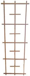 Amazon.com : HEARTLAND HOME & GARDEN 26570 Wood Ladder Trellis, 24 x 72 ...
