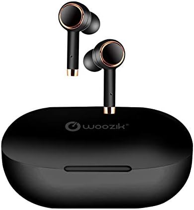 Woozik Freedom True Wireless Earbuds, in-Ear Earphones with Charging ...