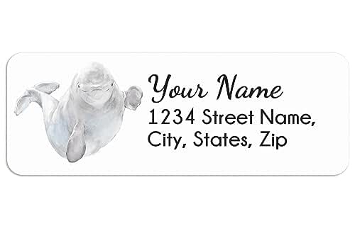 Amazon.com: Triple Studio Beluga Whale Personalized Return Address ...