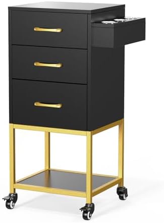 Amazon.com: Salon Storage Trolley Cart with with Lockable Wheels ...