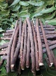 Natural Neem Chew Sticks/Tree Datun Twigs Organic Manual Toothbrush for ...