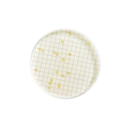 EMD Millipore MHA000P2T Tryptone Glucose Extract Broth Culture Media ...