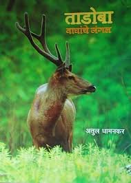 Tadoba - Waghanche Jungle : Atul Dhamankar, Shrividya Prakashan: Amazon ...