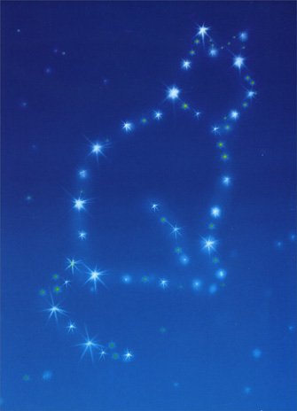 Amazon.com : Cat Constellation Pet Sympathy Card : Office Products