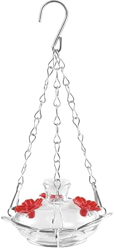 Amazon.com : Kitcom Hummingbird Feeders for Outdoors, Mini Glass Bird ...