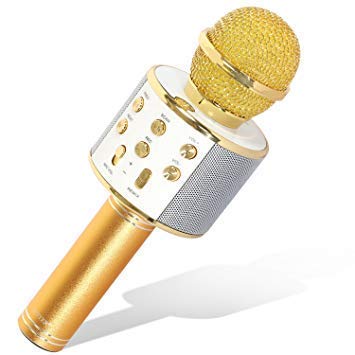 Techworld Bluetooth MIC with Wireless Microphone HiFi Speaker with USB ...
