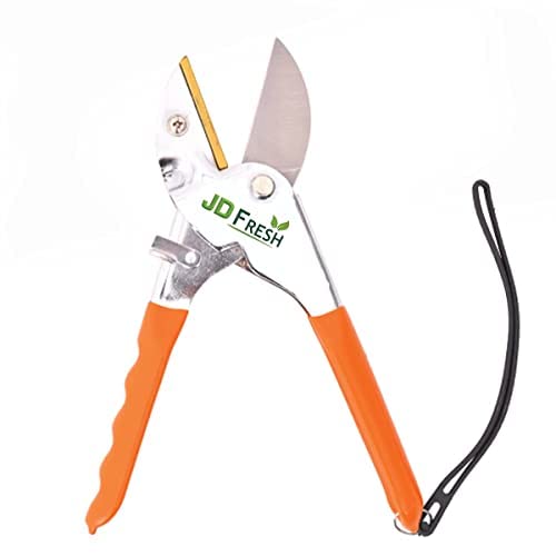Moxot Plant Supper Cutter (Supper cutter) : Amazon.in: Garden & Outdoors