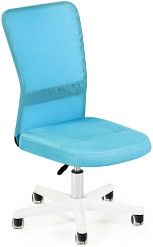 Amazon.com: Desk Chair, Student Study Task Chair Armless Ergonomic ...