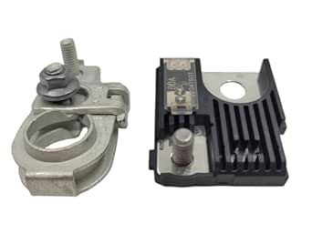 Amazon.com: Genuine OEM 18790-01319 + 91980-3X010 Combo Pack, 180A Fuse ...