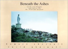 Beneath the Ashes: Shernoff, Howard, Shernoff, David: 9780963289100 ...