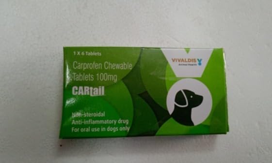 Dog Carprofen Chewable 100 Mg Tablets Cartail | Desertcart UAE