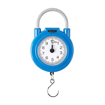 Amazon.com: 10kg Mechanical Vintage Portable Spring Hook Scale for ...