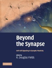 Beyond the Synapse: Cell-Cell Signaling in Synaptic Plasticity ...