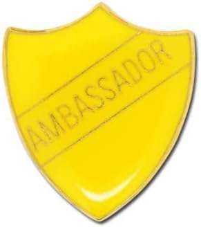Amazon.com: 1000 Flags Ambassador Pin Badge for High School or College ...