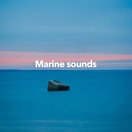 Amazon.com: Marine Sounds : Ocean Sounds: Digital Music