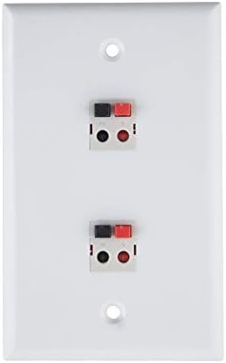 Amazon.com: TENINYU 2-Port Speaker Jack Module Keystone Single Gang ...