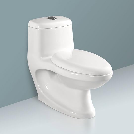 One Piece Ceramic Western Toilet S-Trap-225mm P-Trap - 150mm : Amazon ...