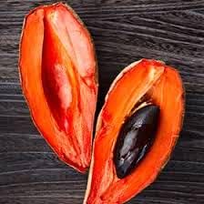 Greentower Thai Red Sapota/Chiku Plant - Grafted(1 Plant In poly bag ...