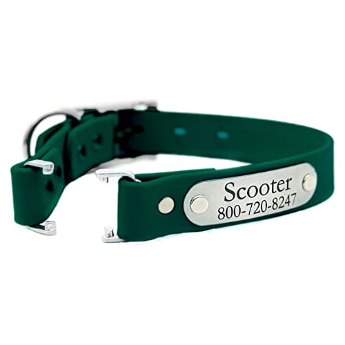 Fi Dog Tracker – The 15 best products compared - Wild Explained