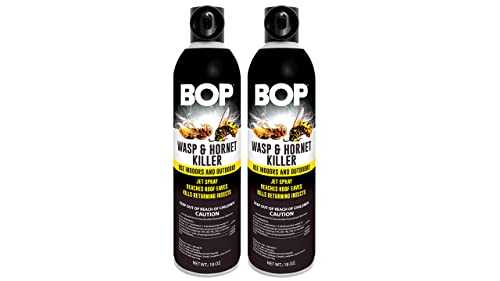 Top 10 Best Spray To Kill Hornets : Reviews & Buying Guide - Katynel