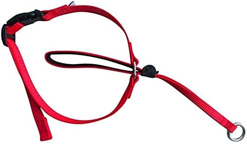 Boolavard Dog Collars & Leashes Pet Head Collar Gentle Control Leash ...