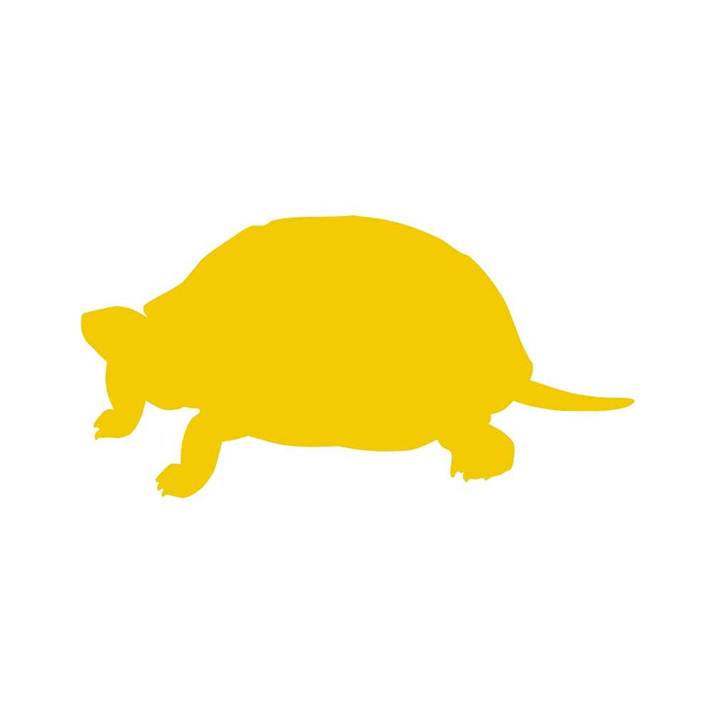 Land Turtle Silhouette