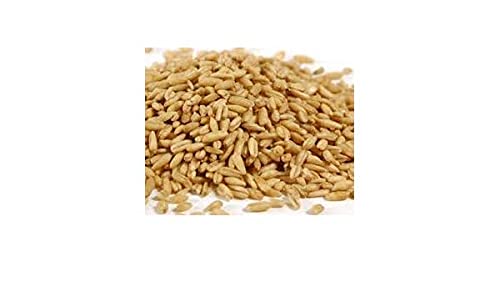 Amazon.com: BULK GRAINS Oat Groat Whole, 50 Pound : Grocery & Gourmet Food