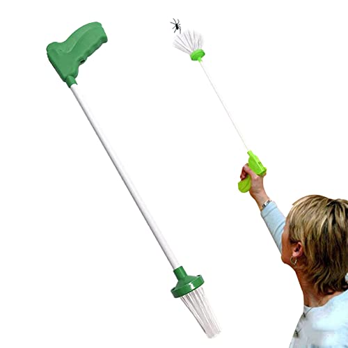 10 Best Spider Catchers 2024 | There's One Clear Winner | BestReviews.Guide