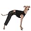 D DOGGY STAR Italian Greyhound Clothes Sleeveless Jeans Onesie Outfit ...