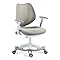Amazon.com: HOMEFUN Kids Desk Chair, Computer Chairs with Armrest and ...