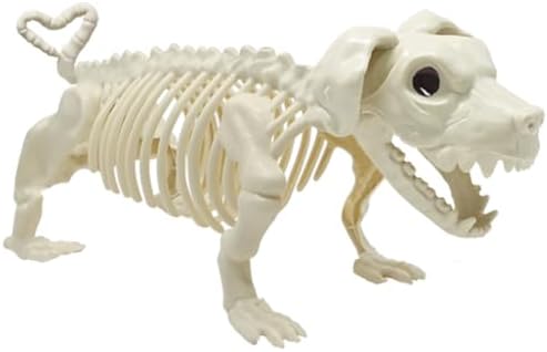 Amazon.com : UMEELR Halloween Animal Skeletons, Cats and Dogs Pose-N ...