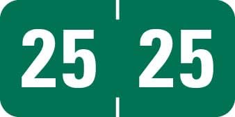 Amazon.com : 2025 Year Stickers, Doctor Stuff 2025 Chart Stickers ...