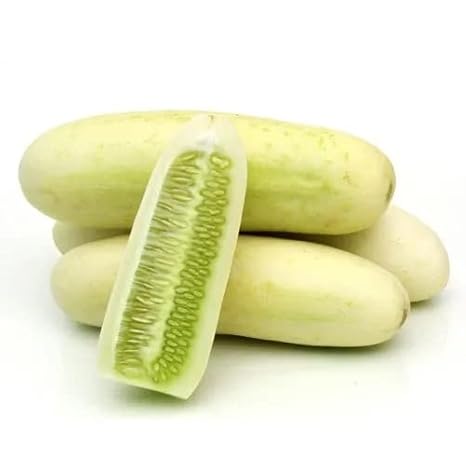 Fresh Cucumber, White, 500g : Amazon.in: Grocery & Gourmet Foods
