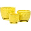 Amazon.com: Nattol Yellow Ceramic Flower Pots with Saucers, Modern ...