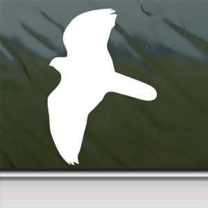 Amazon.com: Soaring Falcon Hawk White Sticker Decal Falconry White Car ...