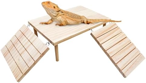 Amazon.com : Bearded Dragon Tank Accessories, Wooden Basking Platform ...