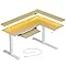 Amazon.com: Rolanstar Electric Standing Desk L Shaped with LED Light ...