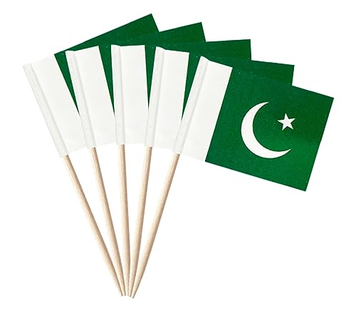 stidsds 100 Pcs Pakistan Flag Pakistan Toothpick Flags Mini Small ...