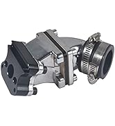 Amazon.com: 48cc 66cc 80cc Dio Reed Valve Set-Reed Valve Kit and Block ...