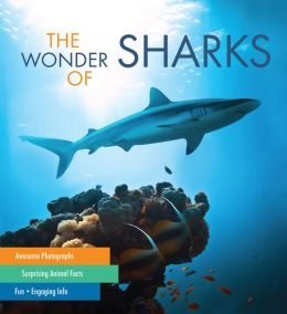 The Wonder of Sharks: 9781616287900: Amazon.com: Books