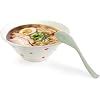 Amazon.com: Hiceeden Set of 24 Reusable Plastic Asian Chinese Soup ...